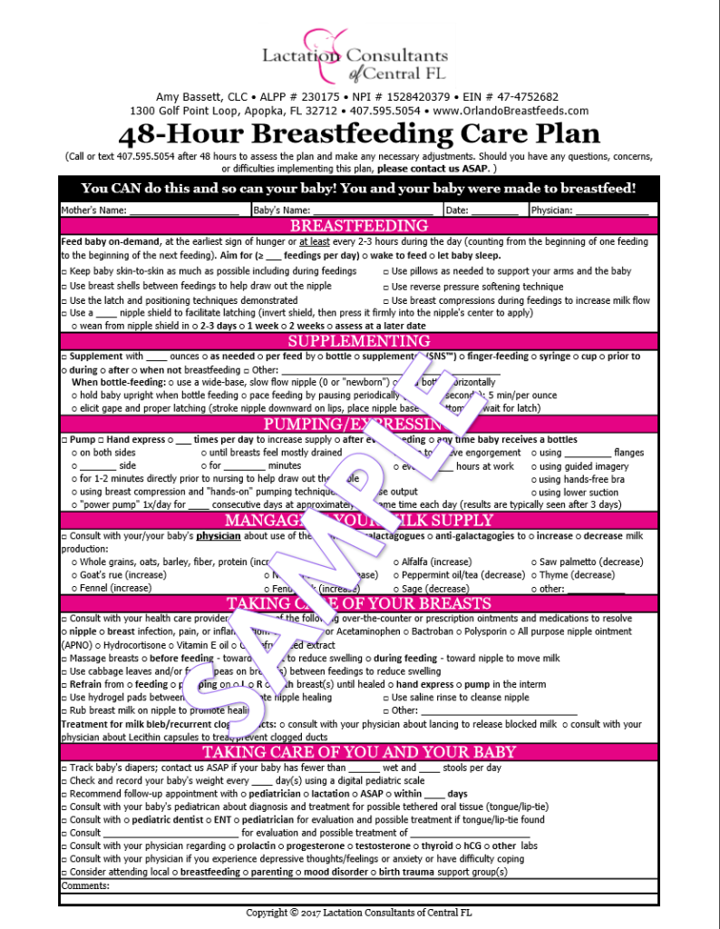 48 Hour Breastfeeding Care Plan Template Form – Lactation Consultants ...
